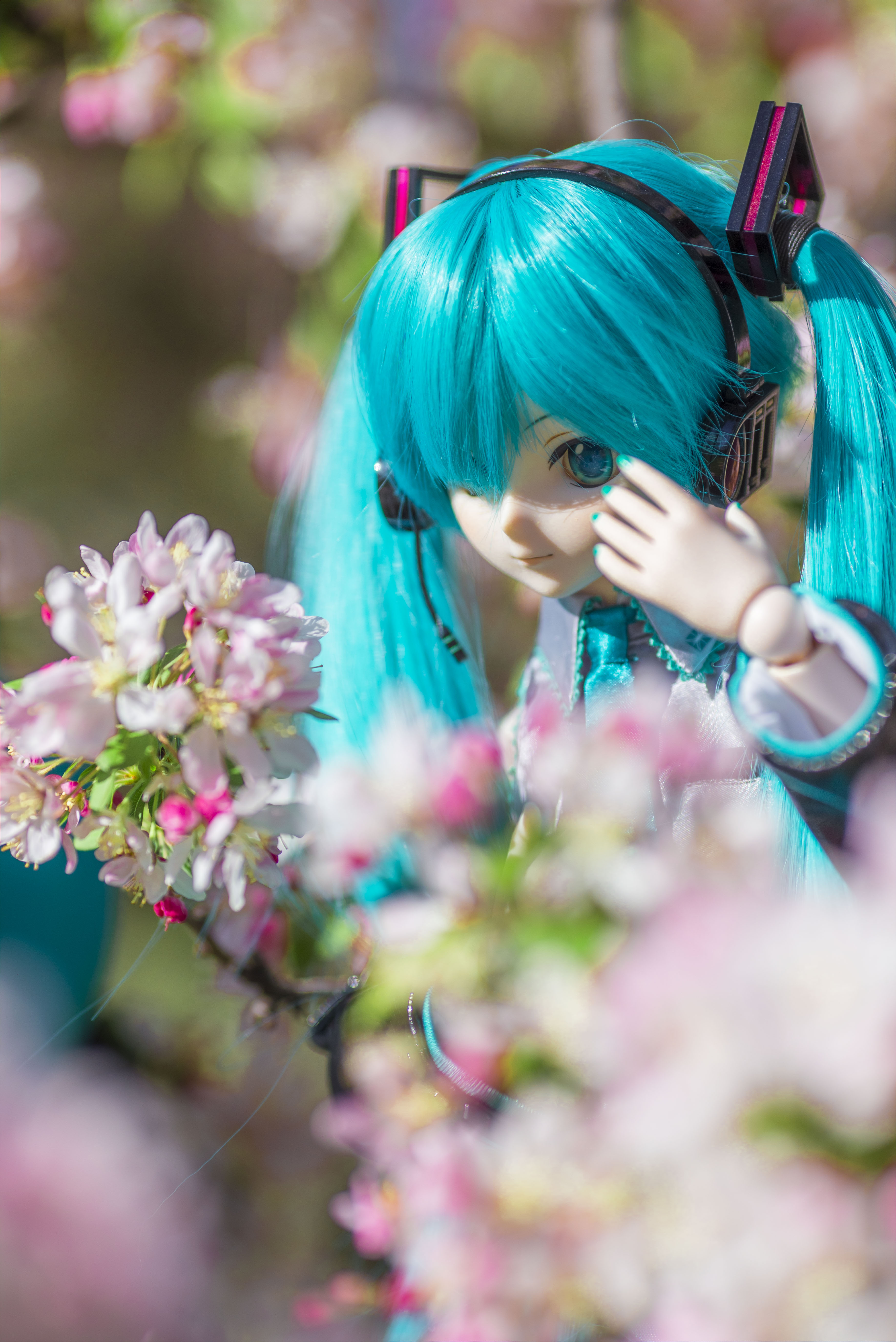 Miku Album Worldwide – Snow Miku – Japanese Garden & Cowra | Cinderella ...